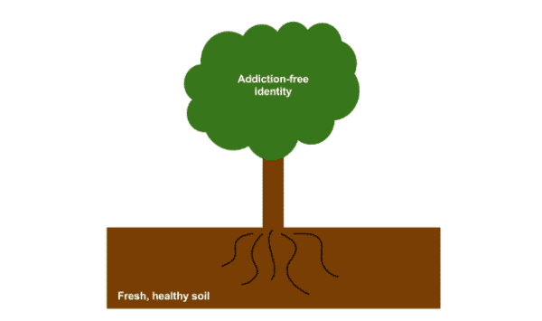 Addiction Rehabilitation Process | The Powerful and Beautiful Path of ...