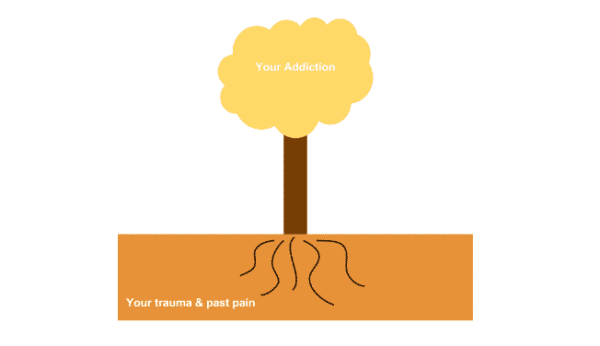 Addiction Rehabilitation Process | The Powerful and Beautiful Path of ...