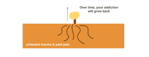 Addiction Rehabilitation Process | The Powerful and Beautiful Path of ...