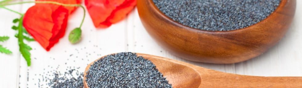 Poppy Seeds and Opiates | Do Poppy Seeds Cause You to Feel High?