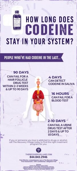 How Long Does Codeine Stay in Your System (Urine, Blood, Hair)