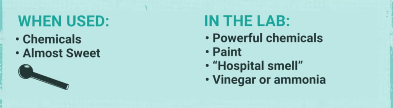 Meth Smell: What Does Meth Smell Like & What To Do If Something Smells ...